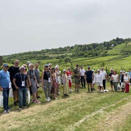 Naslovna - M novine Sremski informativni portal